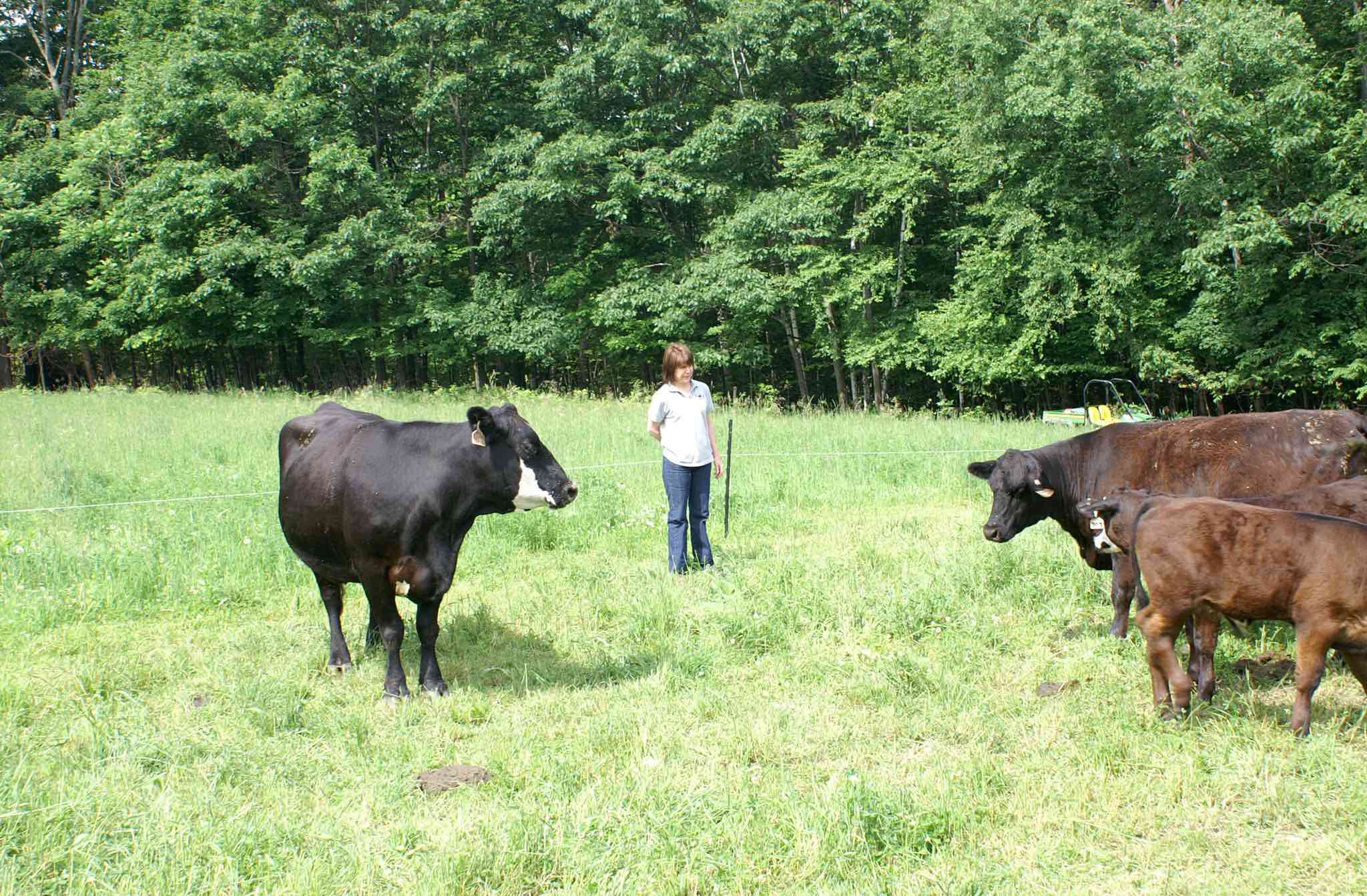 Life on the Farm – Mack Brook Farm
